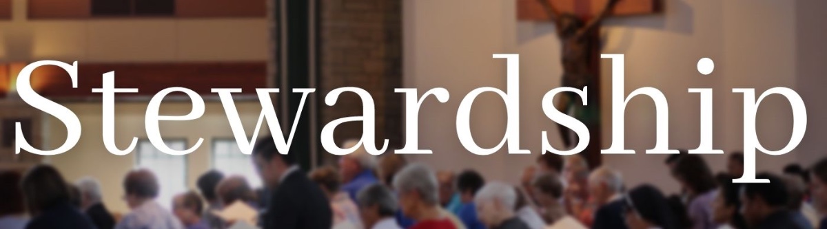 Stewardship